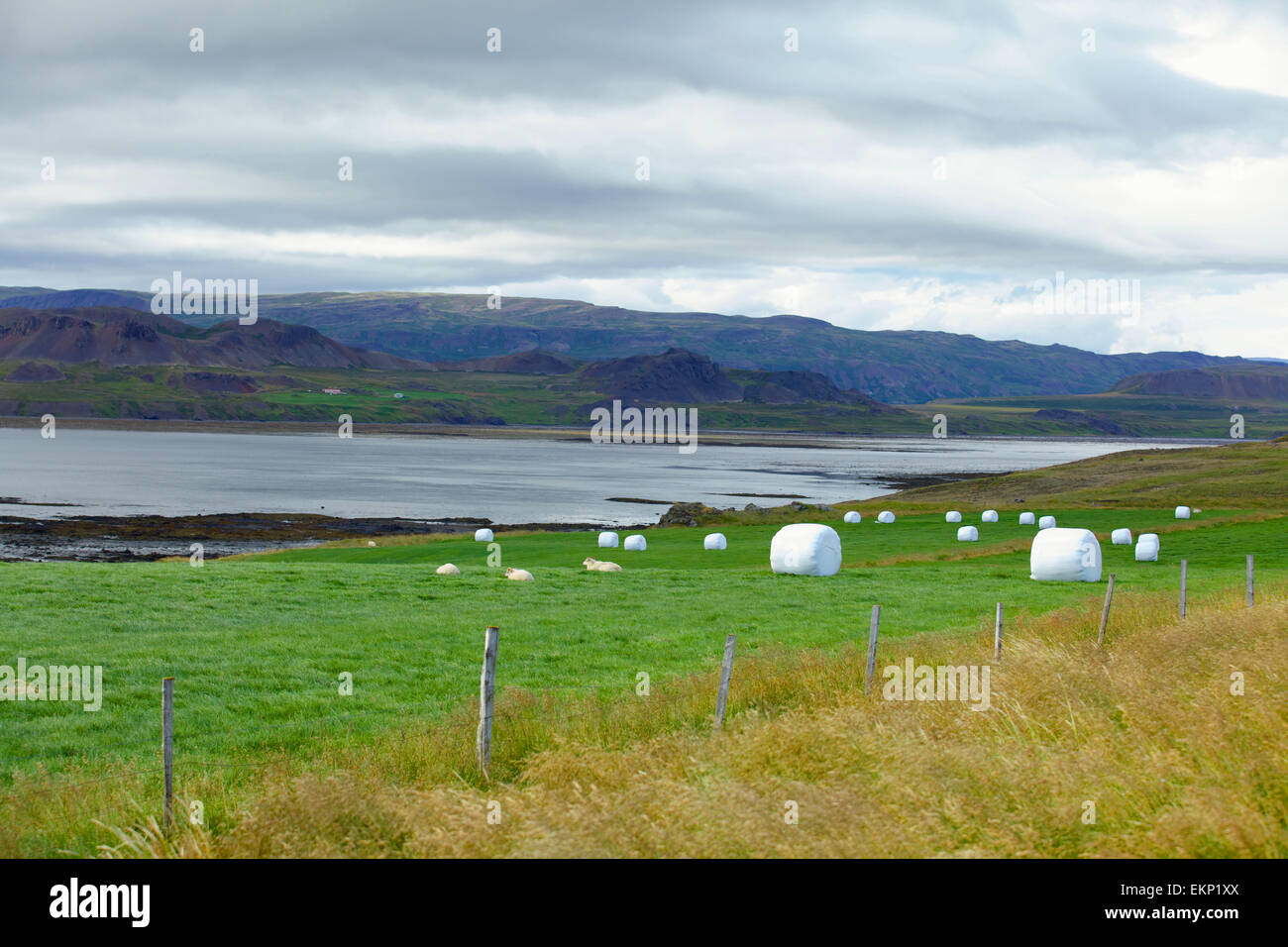 Icelandic Rural Landscape Stock Photo - Alamy