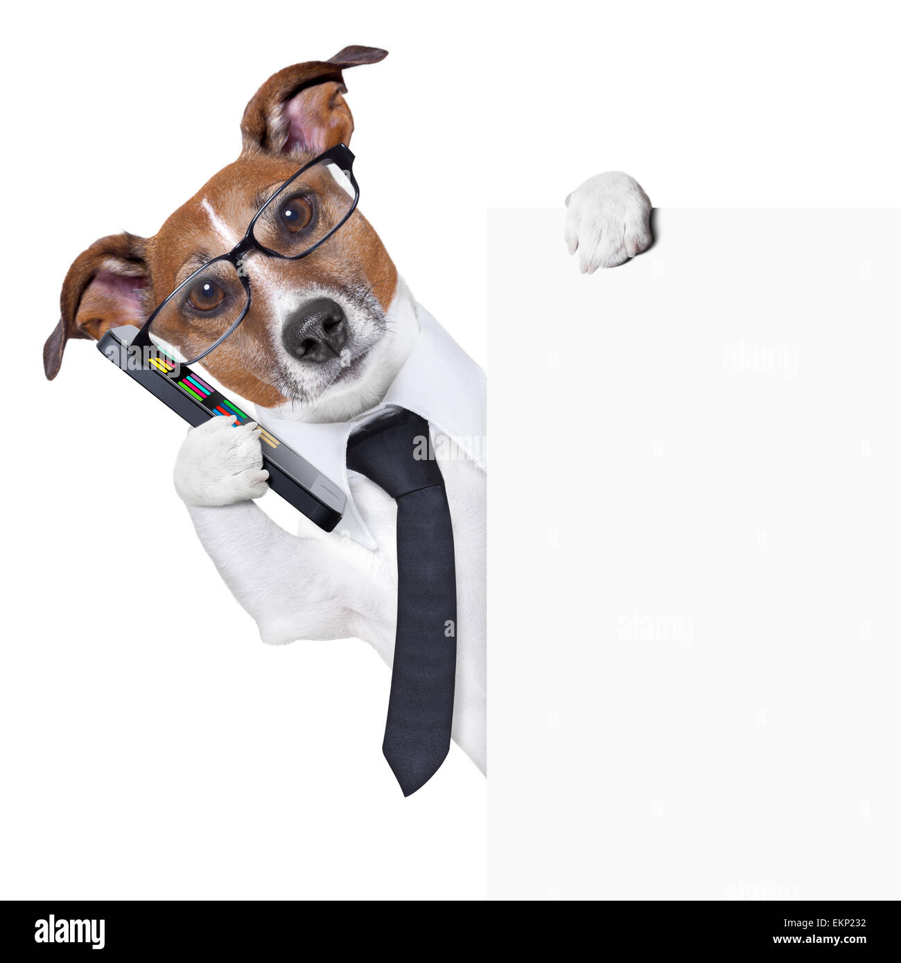 dog smartphone Stock Photo - Alamy