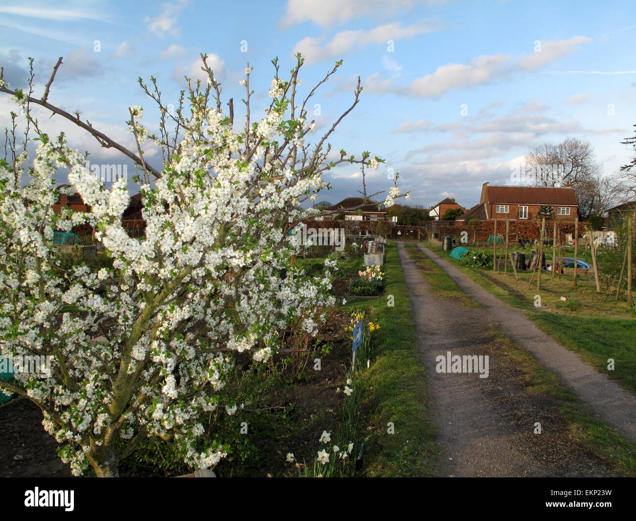 English kent bromley london hi-res stock photography and images - Alamy