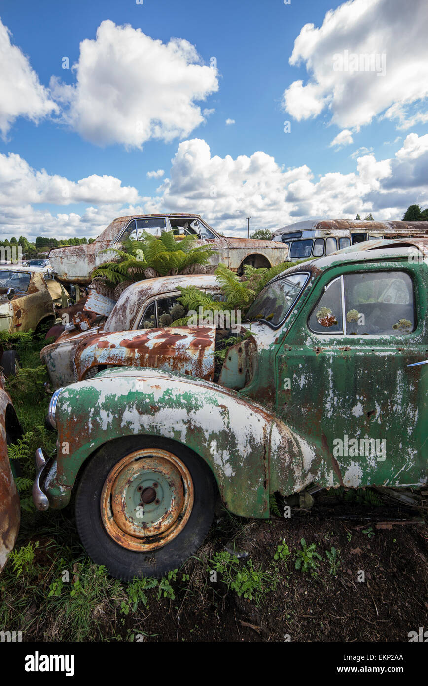 Smash Palace auto scrap yard on North Island, New Zealand Stock Photo ...