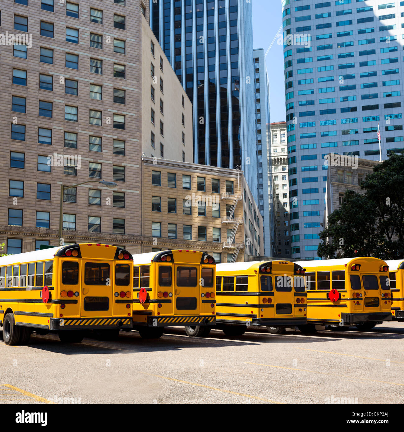 school bus row at San Francisco market photo mount Stock Photo - Alamy