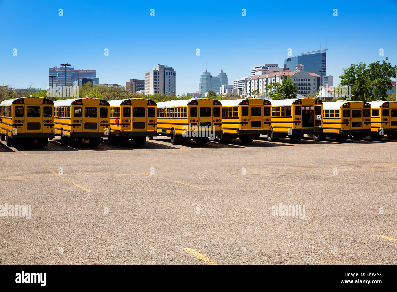 American typical school bus rear view in Houston Stock Photo - Alamy