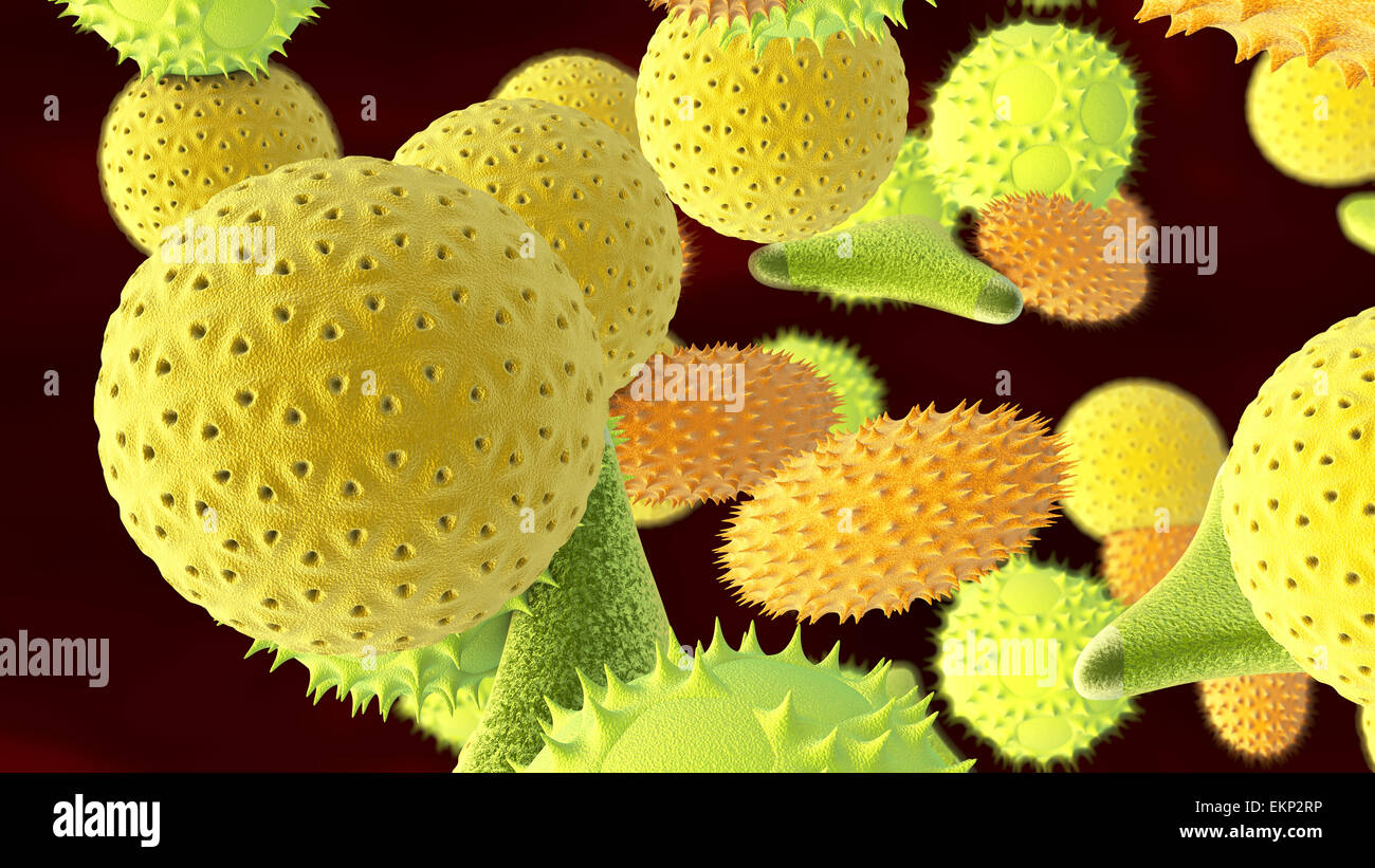 various types of pollen rendered in 3d Stock Photo - Alamy