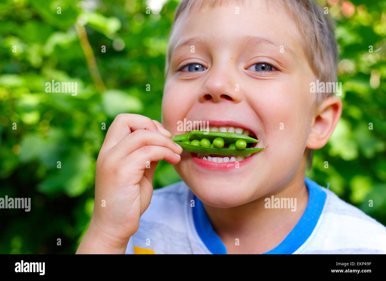 Boy eating a green Peas Stock Photo - Alamy