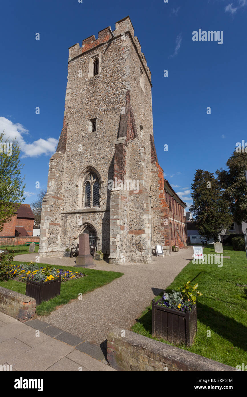 Maldon museum hi-res stock photography and images - Alamy
