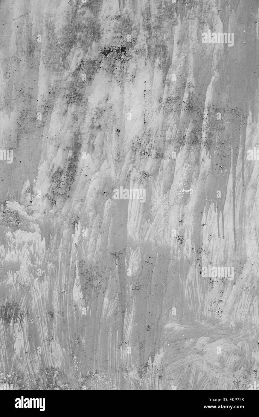 Plant wall texture Black and White Stock Photos & Images - Alamy