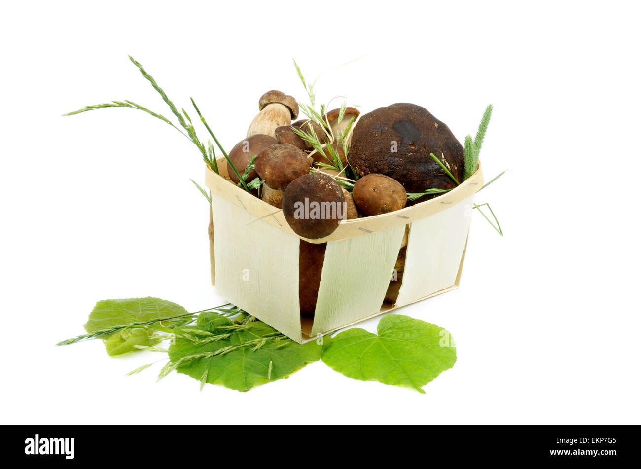 Mushroom picking basket Cut Out Stock Images & Pictures - Alamy