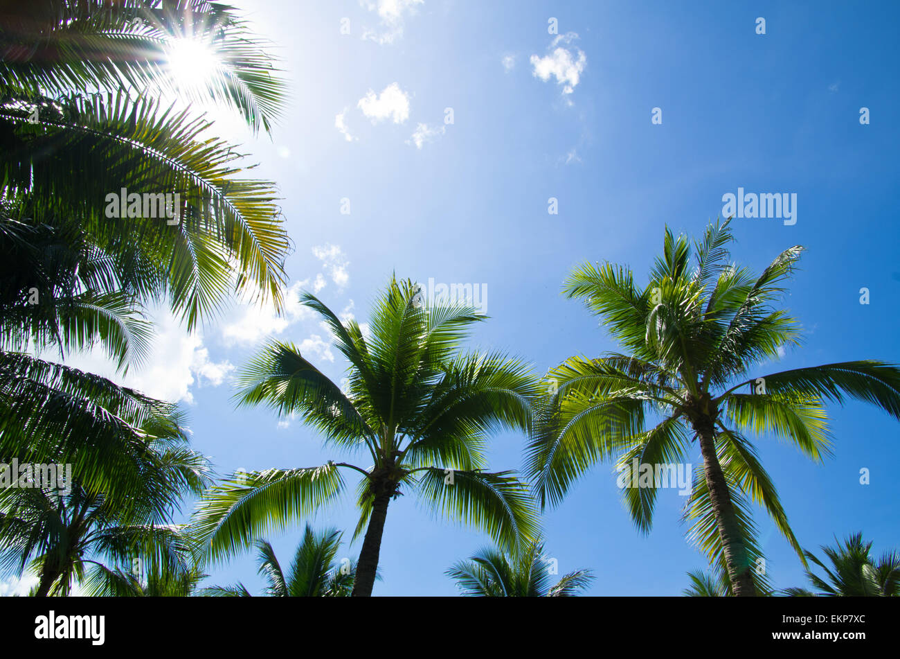 Palm upward hi-res stock photography and images - Alamy