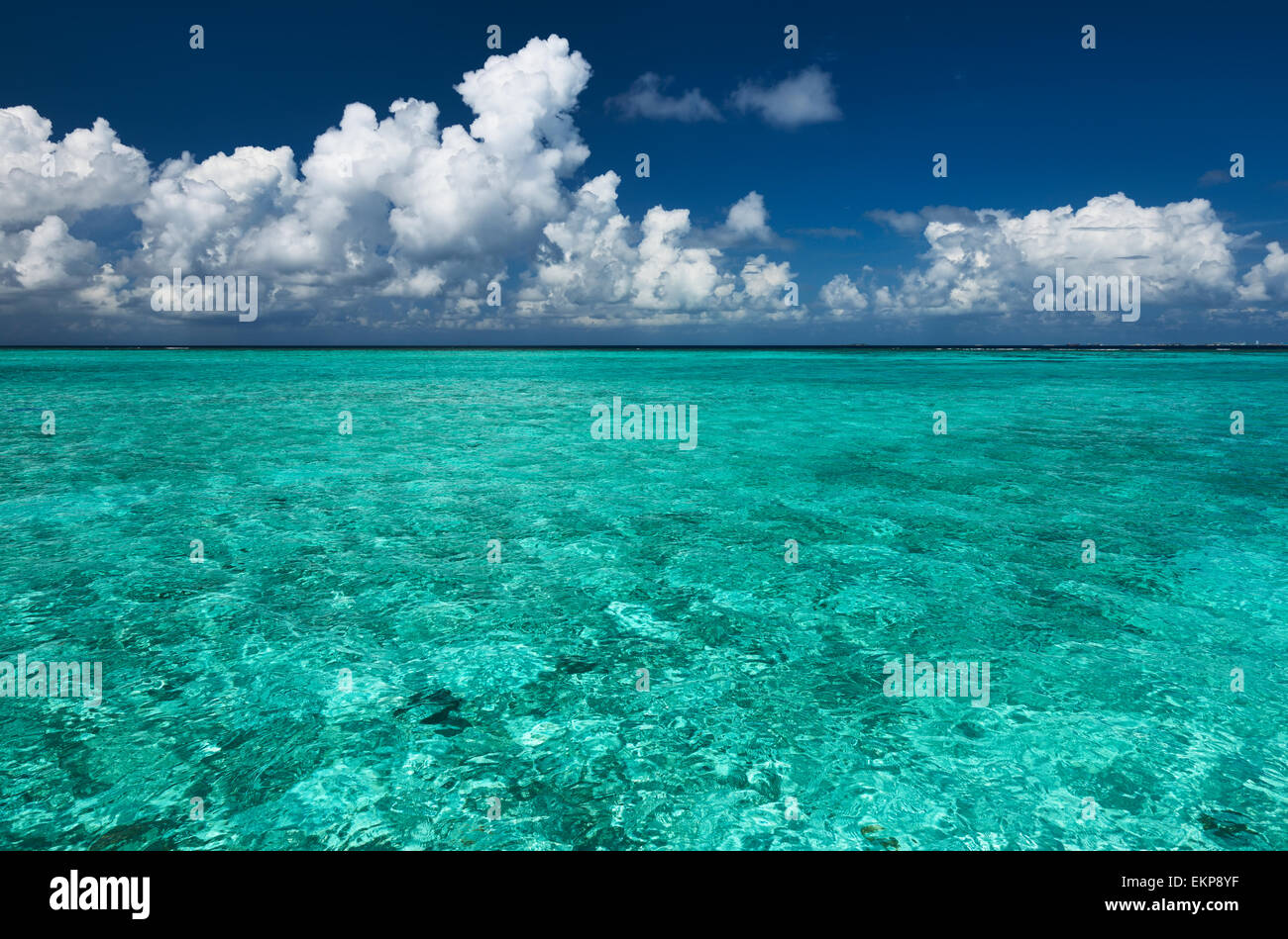 Crystal clear turquoise water at tropical beach Stock Photo - Alamy