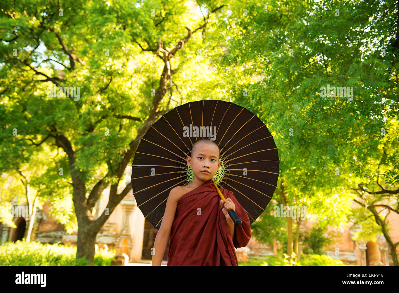 Two people under shade tree hi-res stock photography and images - Alamy