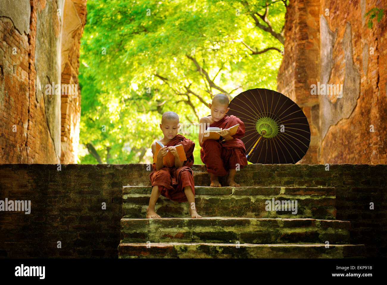 Buddhist monk reading outdoors Stock Photo - Alamy
