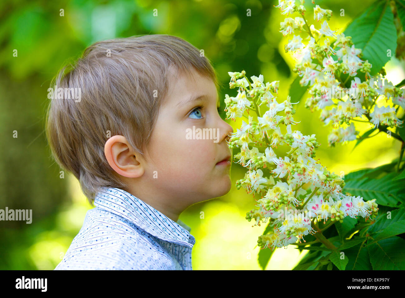 Adorable caucasian boy smelling yellow hi-res stock photography and ...