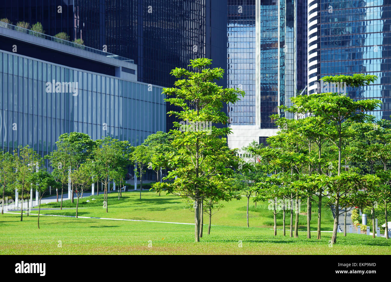 Concrete planting area hi-res stock photography and images - Alamy