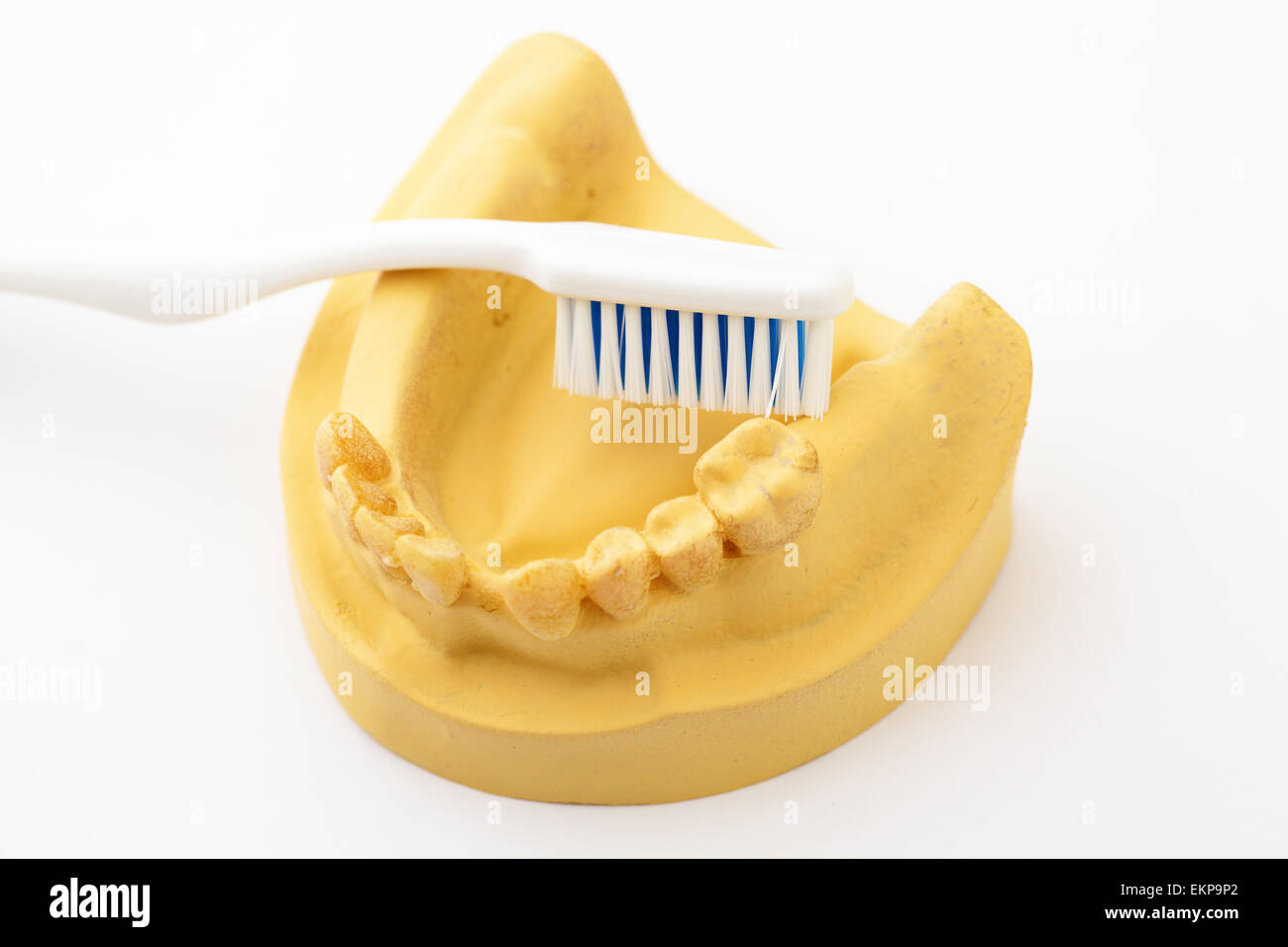 Denture and toothbrush Stock Photo - Alamy