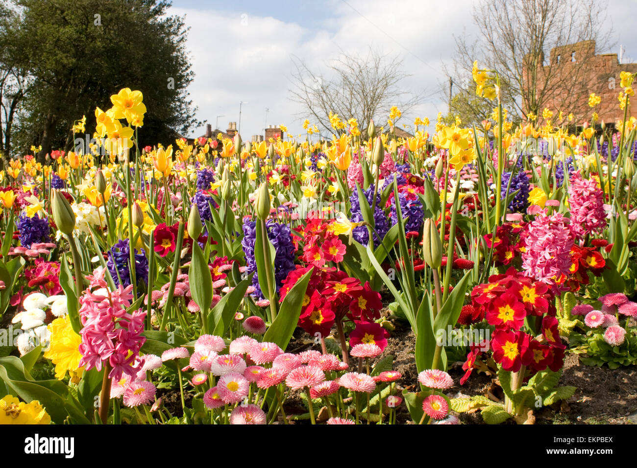 Shrewsbury castle gardens hi-res stock photography and images - Alamy