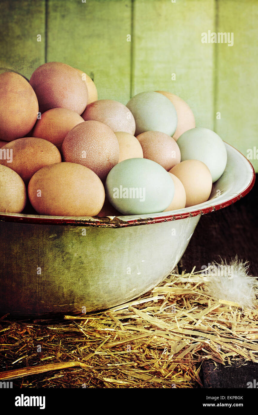Rustic Farm Raised Eggs Stock Photo - Alamy