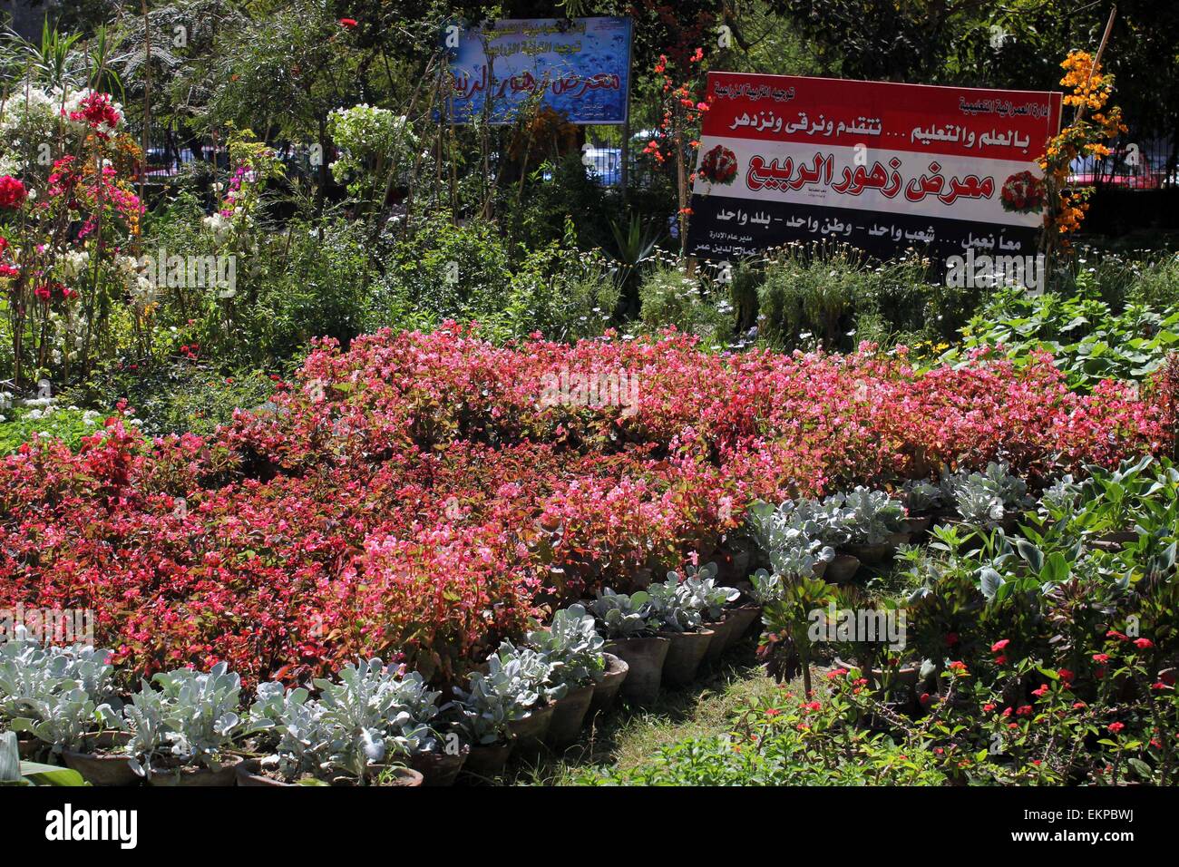 Cairo, Egypt. 13th Apr, 2015. A general view shows the spring flower ...