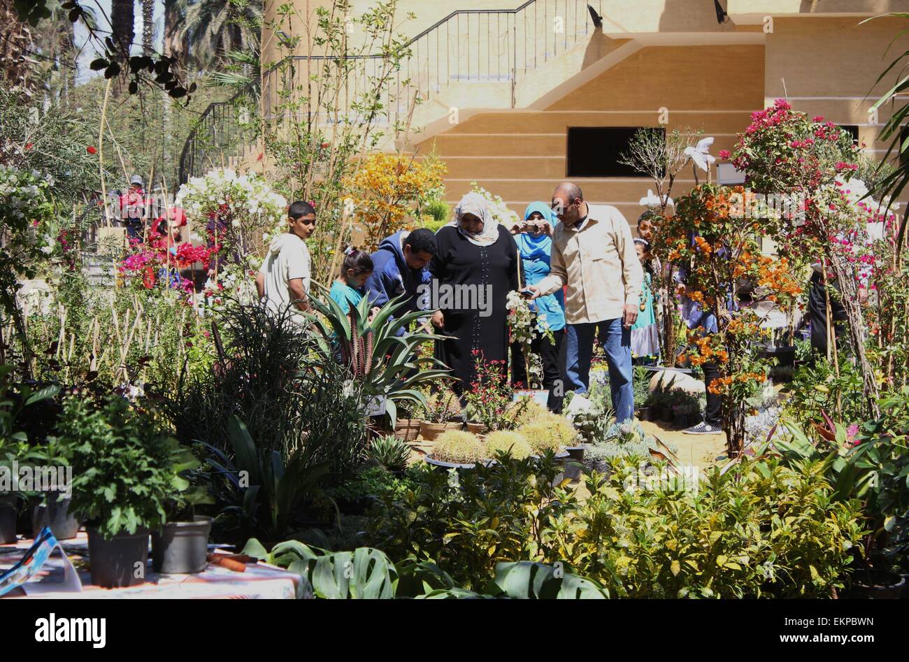 Cairo, Egypt. 13th Apr, 2015. Egyptians visit the spring flower ...