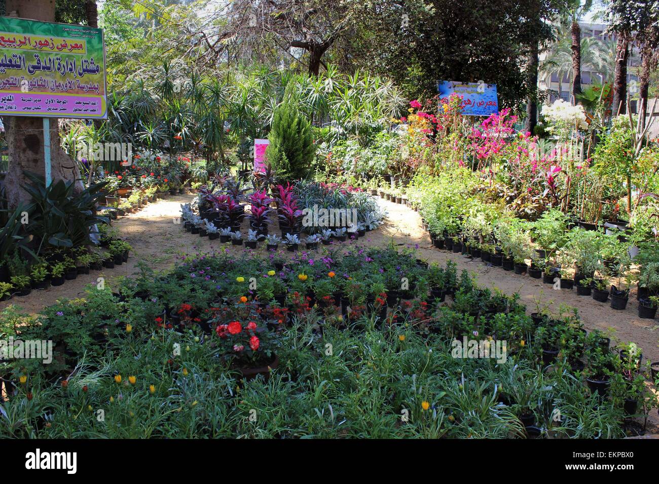 Cairo, Egypt. 13th Apr, 2015. A general view shows the spring flower ...