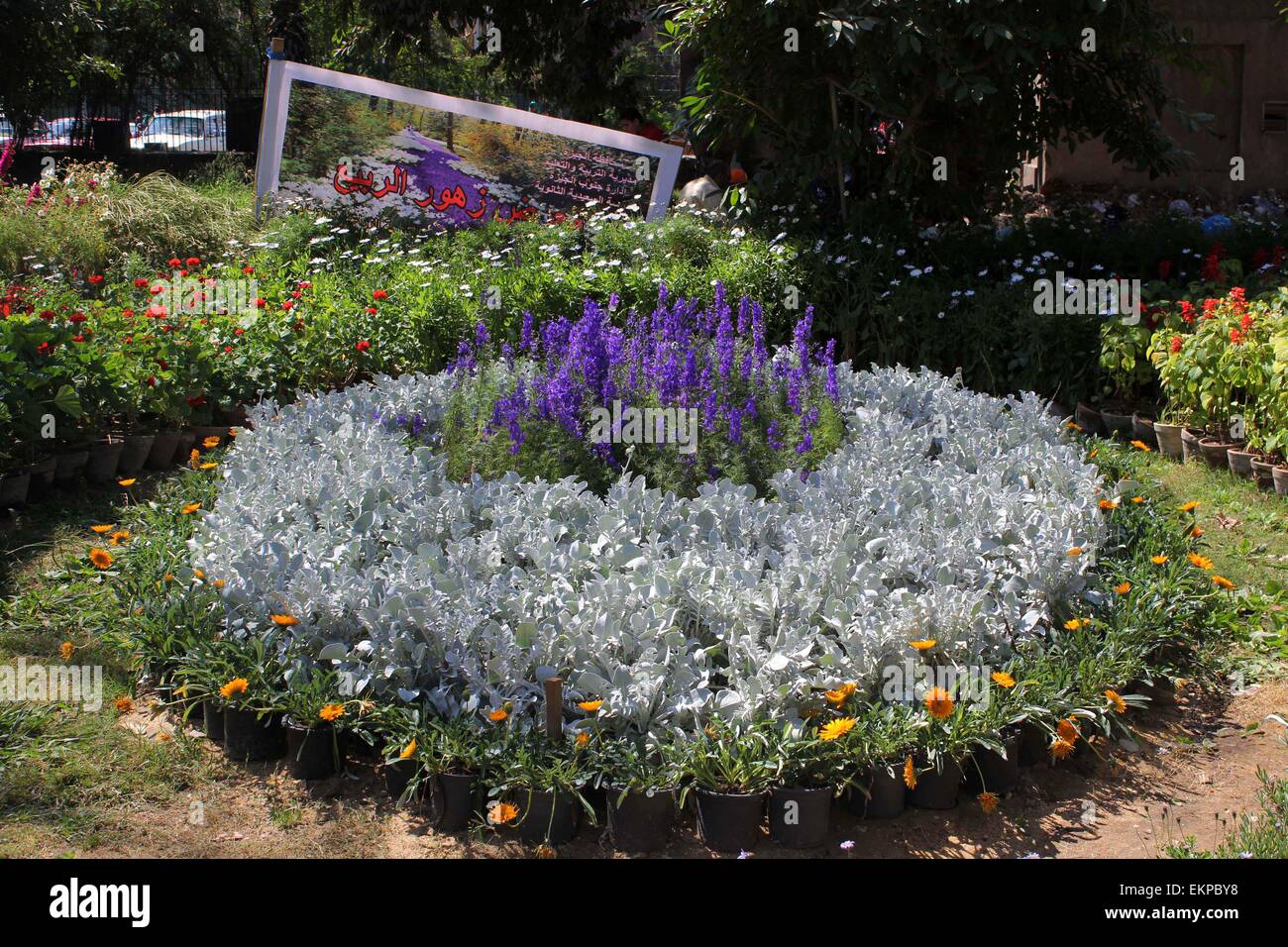 Cairo, Egypt. 13th Apr, 2015. A general view shows the spring flower ...