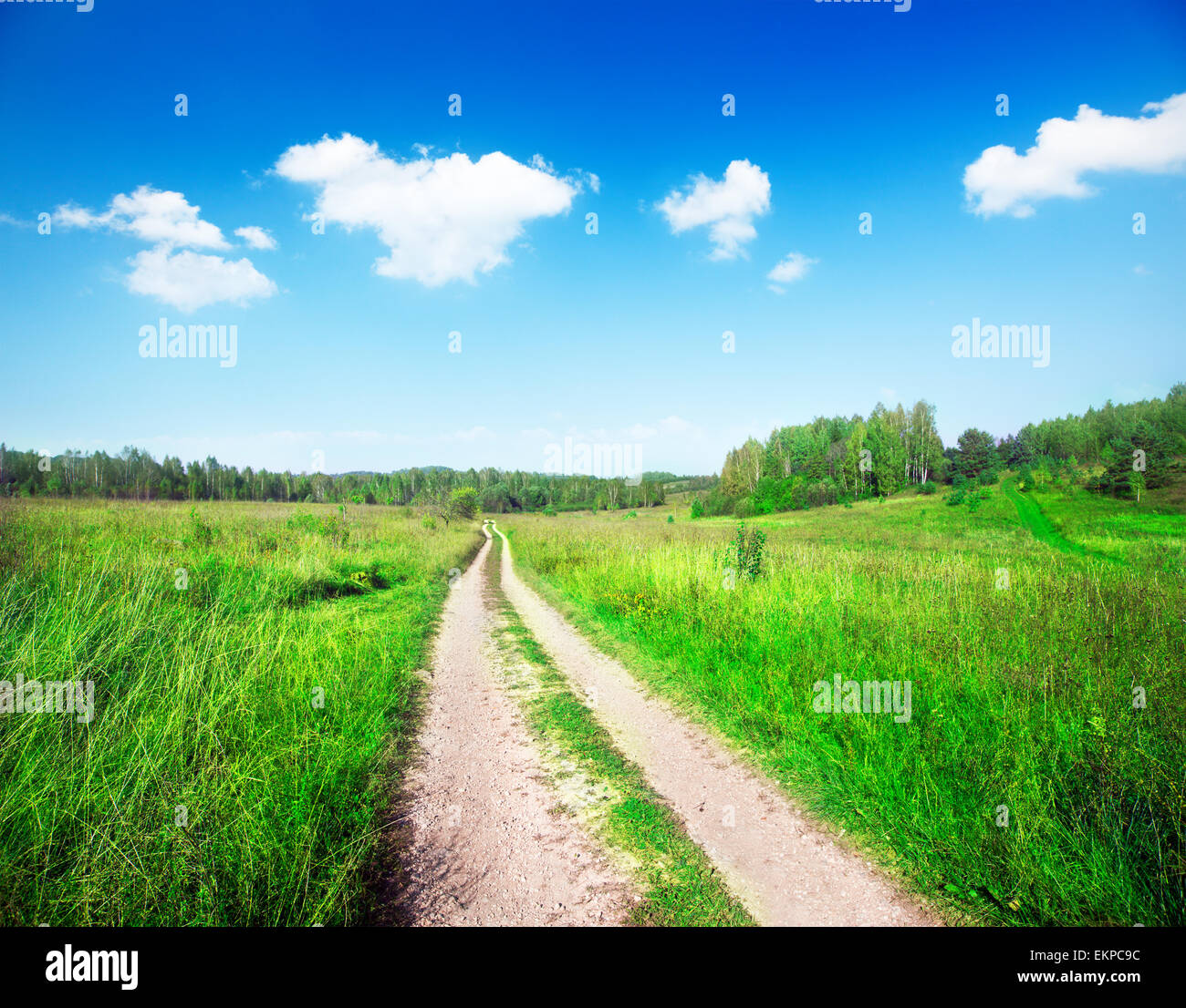 Beautiful summer landscape sunny hi-res stock photography and images ...