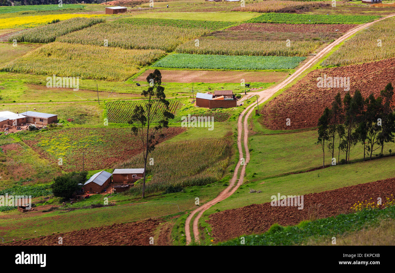 Fields in Bolivia Stock Photo - Alamy