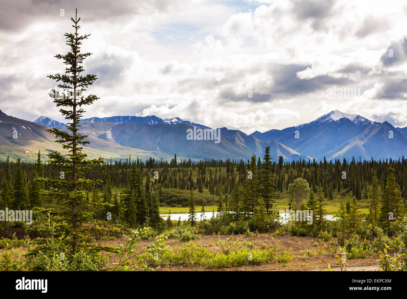 Lake on Alaska Stock Photo - Alamy