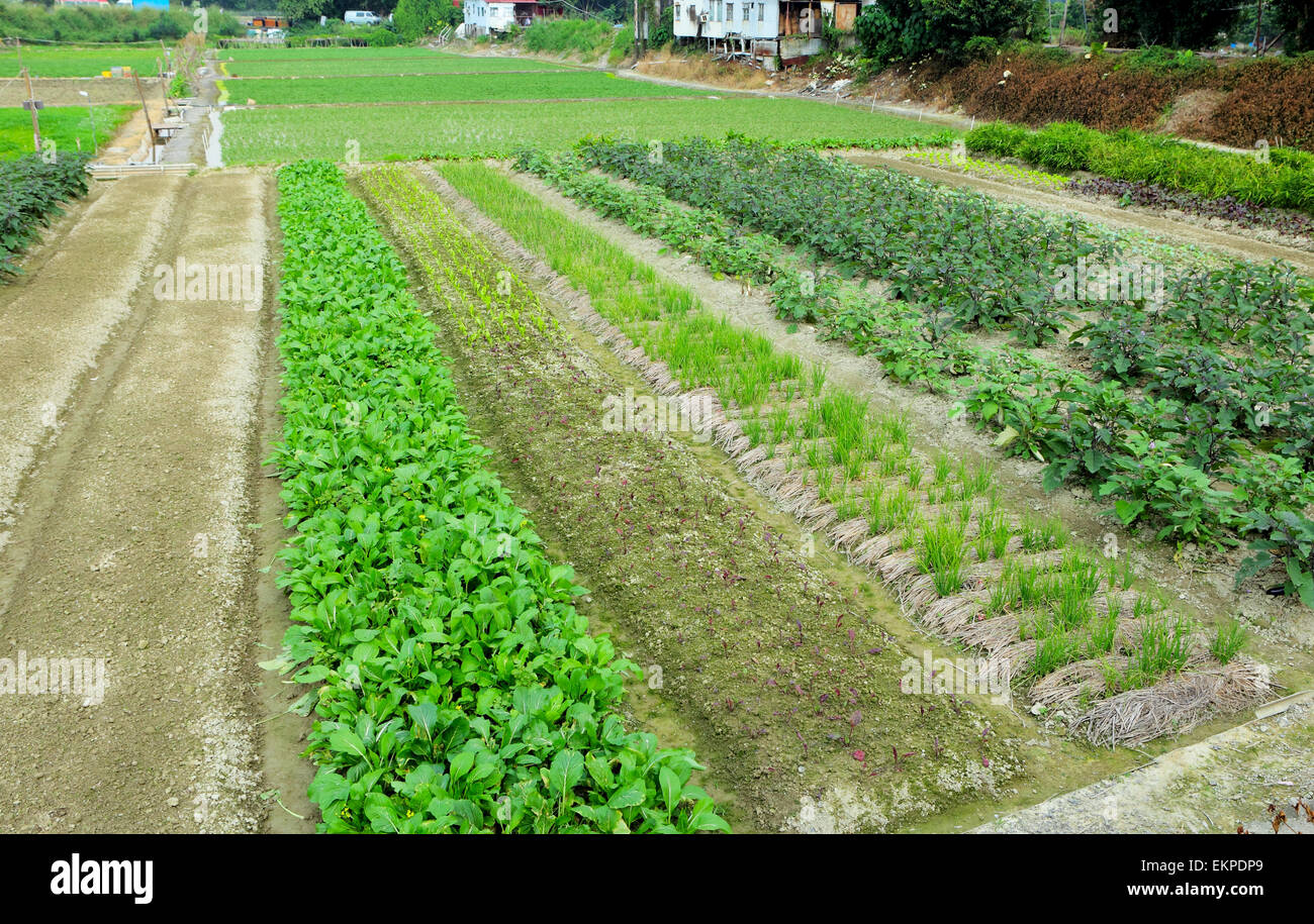 Agricultural product hi-res stock photography and images - Alamy