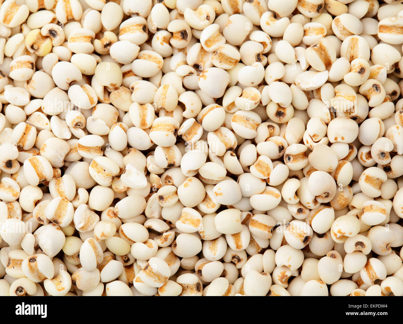 Coix seeds hi-res stock photography and images - Alamy