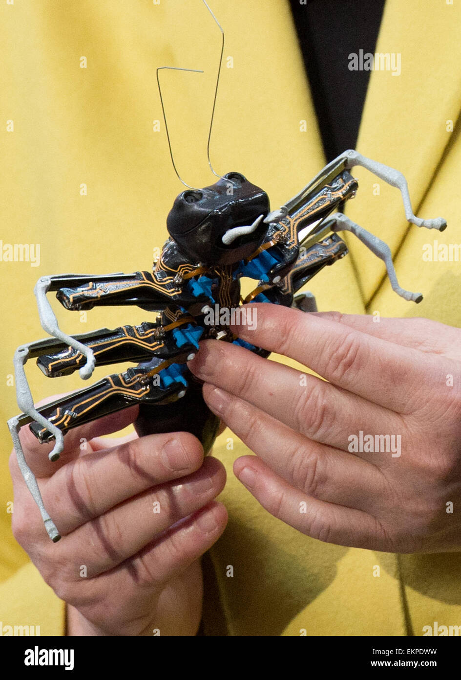 Festo ant hi-res stock photography and images - Alamy