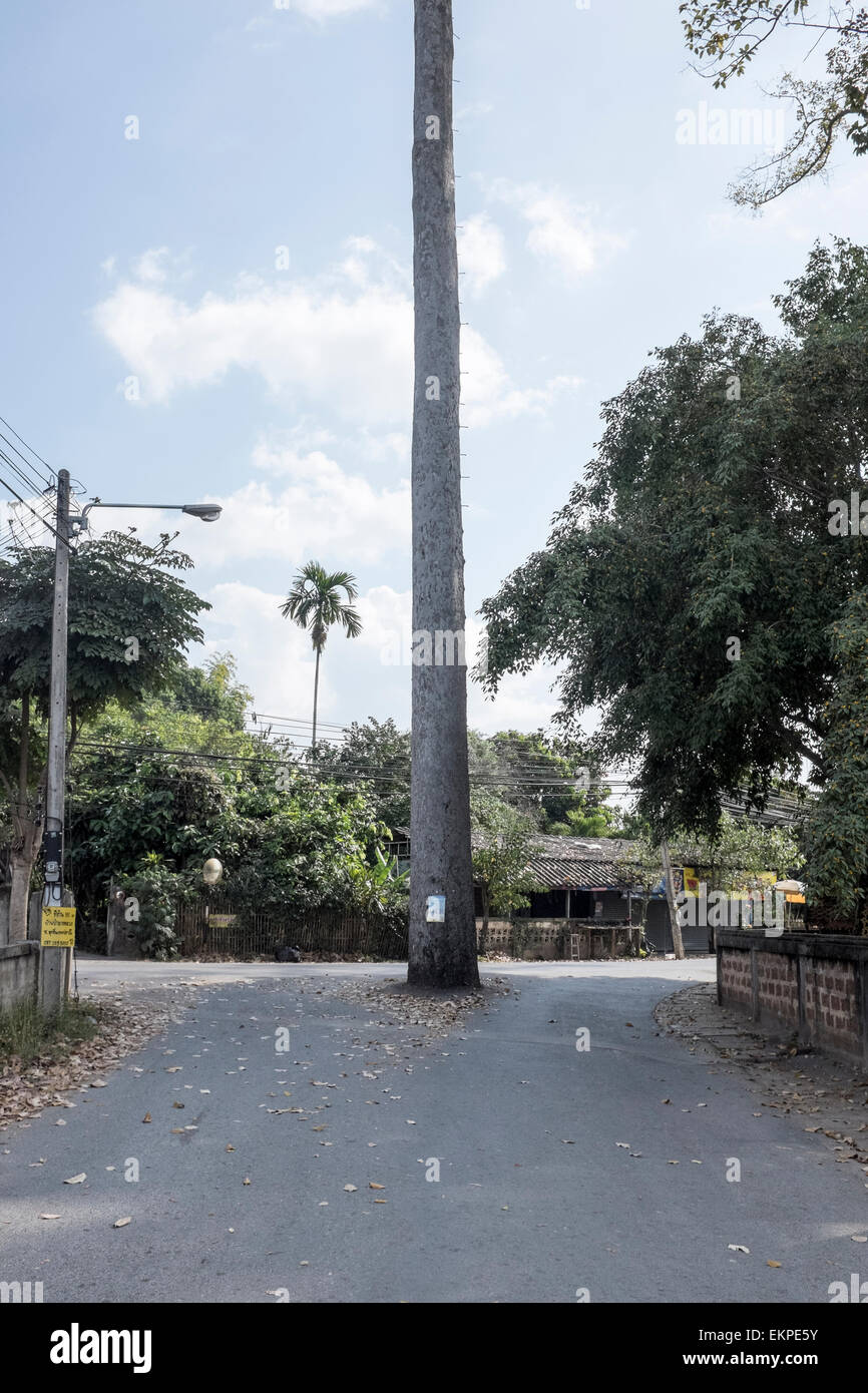 Road Divider Stock Photos & Road Divider Stock Images - Alamy