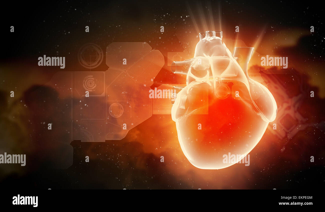 Human heart beats Stock Photo - Alamy