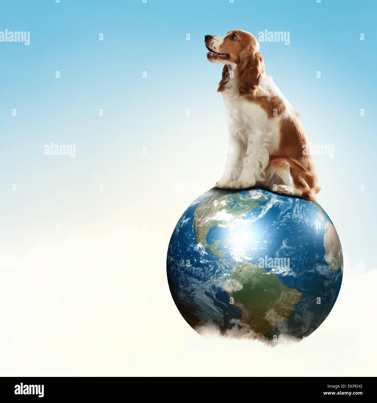 Dog with the Earth Stock Photo - Alamy