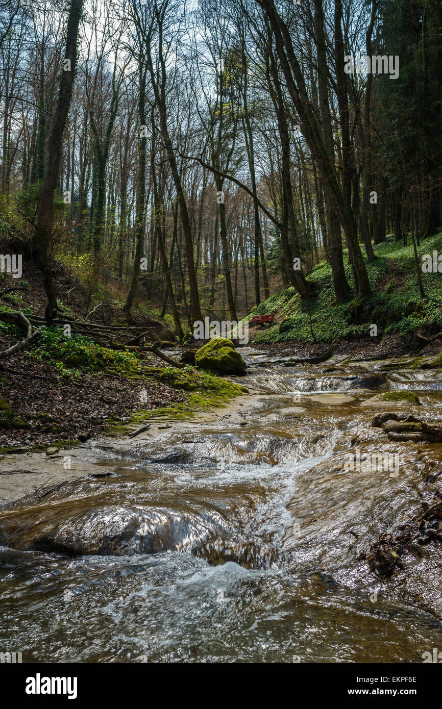 A river going through a forest ravine Stock Photo - Alamy