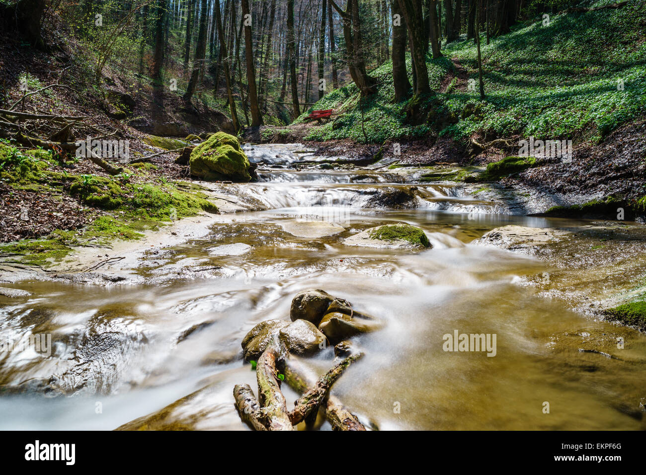 A long exposure of a river in a forest ravine Stock Photo - Alamy