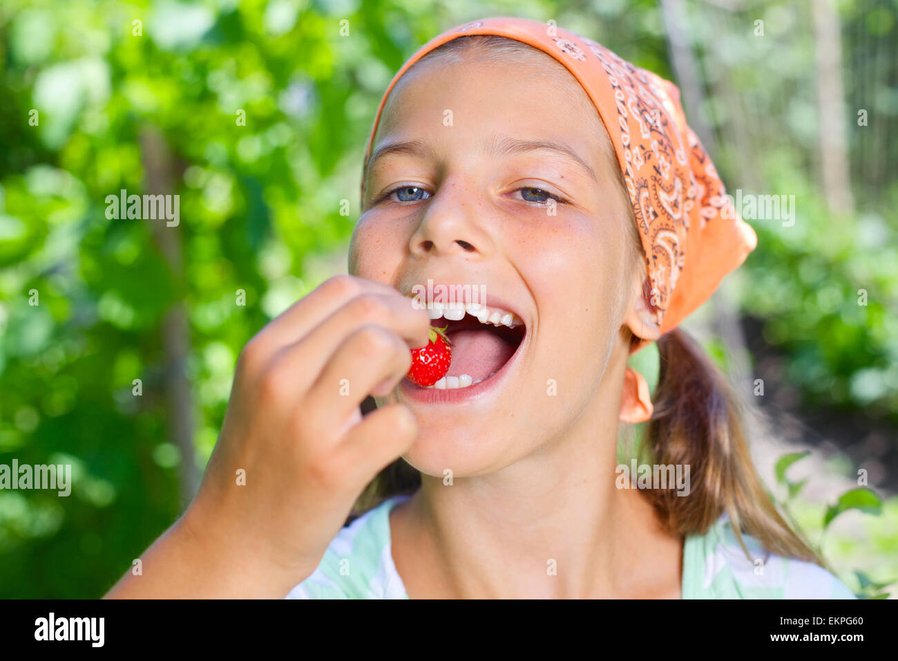 Girl eating strawberries Stock Photo - Alamy