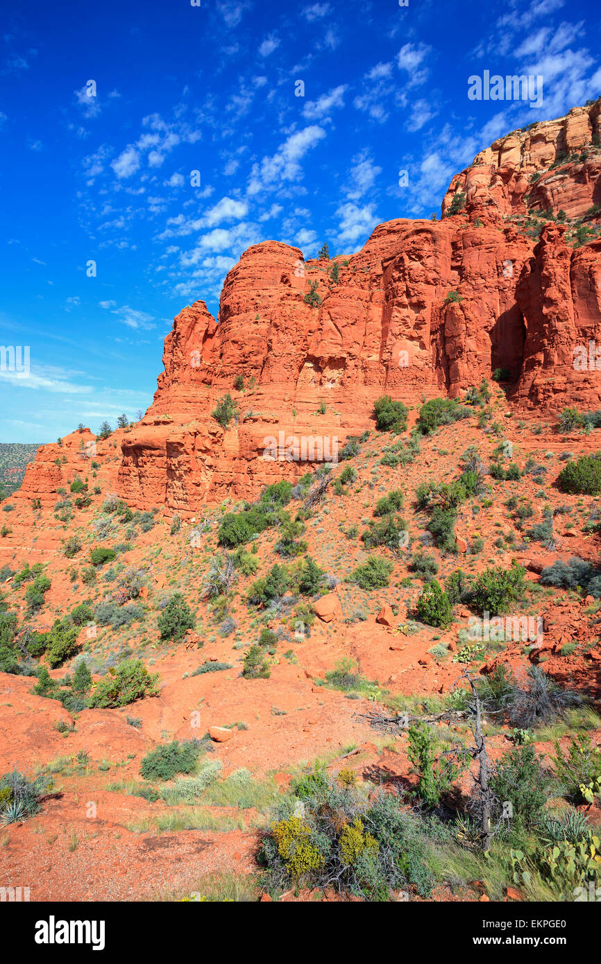 Green landscape vertical view hi-res stock photography and images - Alamy