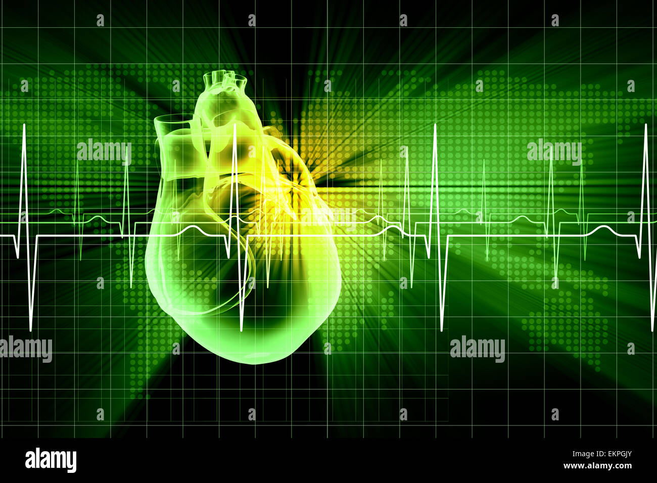 Human heart beats Stock Photo - Alamy
