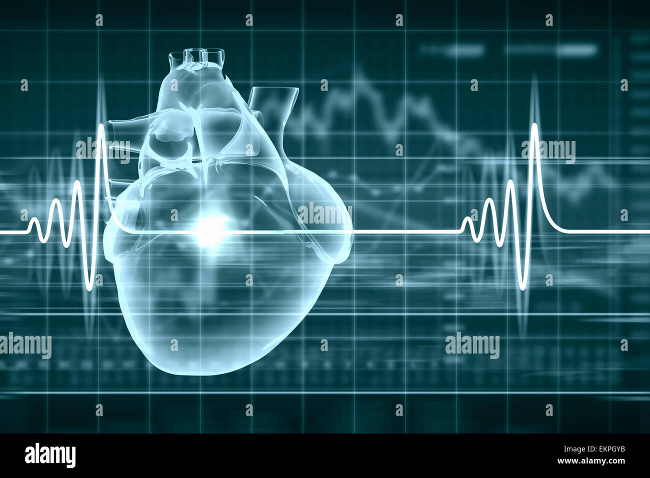 Human heart beats Stock Photo - Alamy