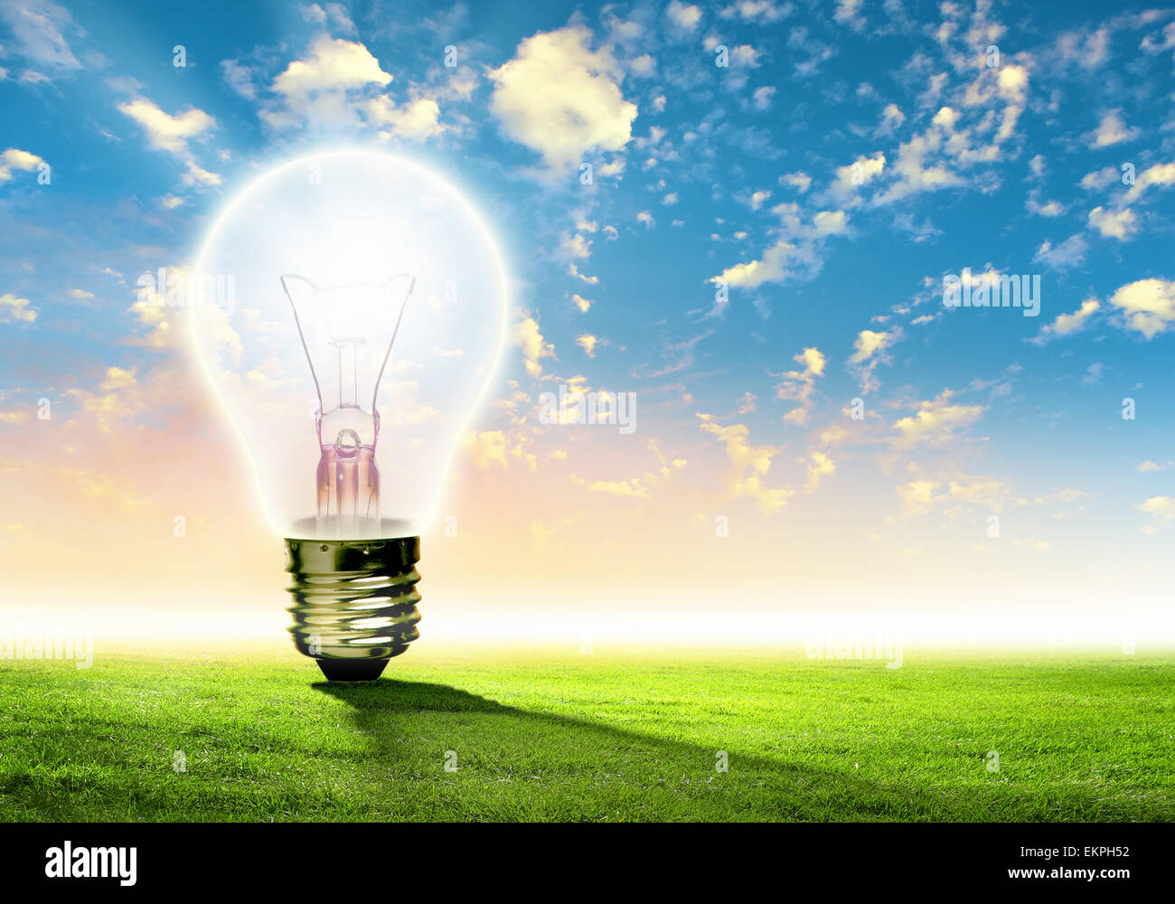 Light bulb and nature Stock Photo - Alamy
