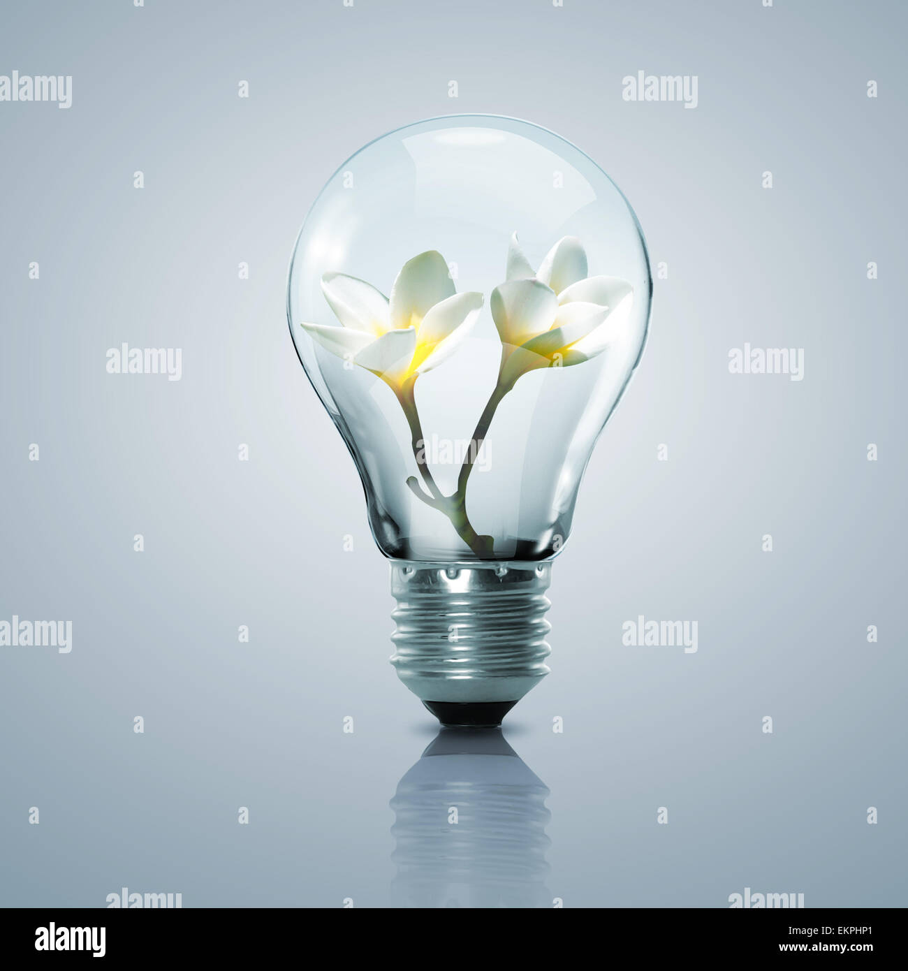 Electric light bulb and flower inside it Stock Photo - Alamy