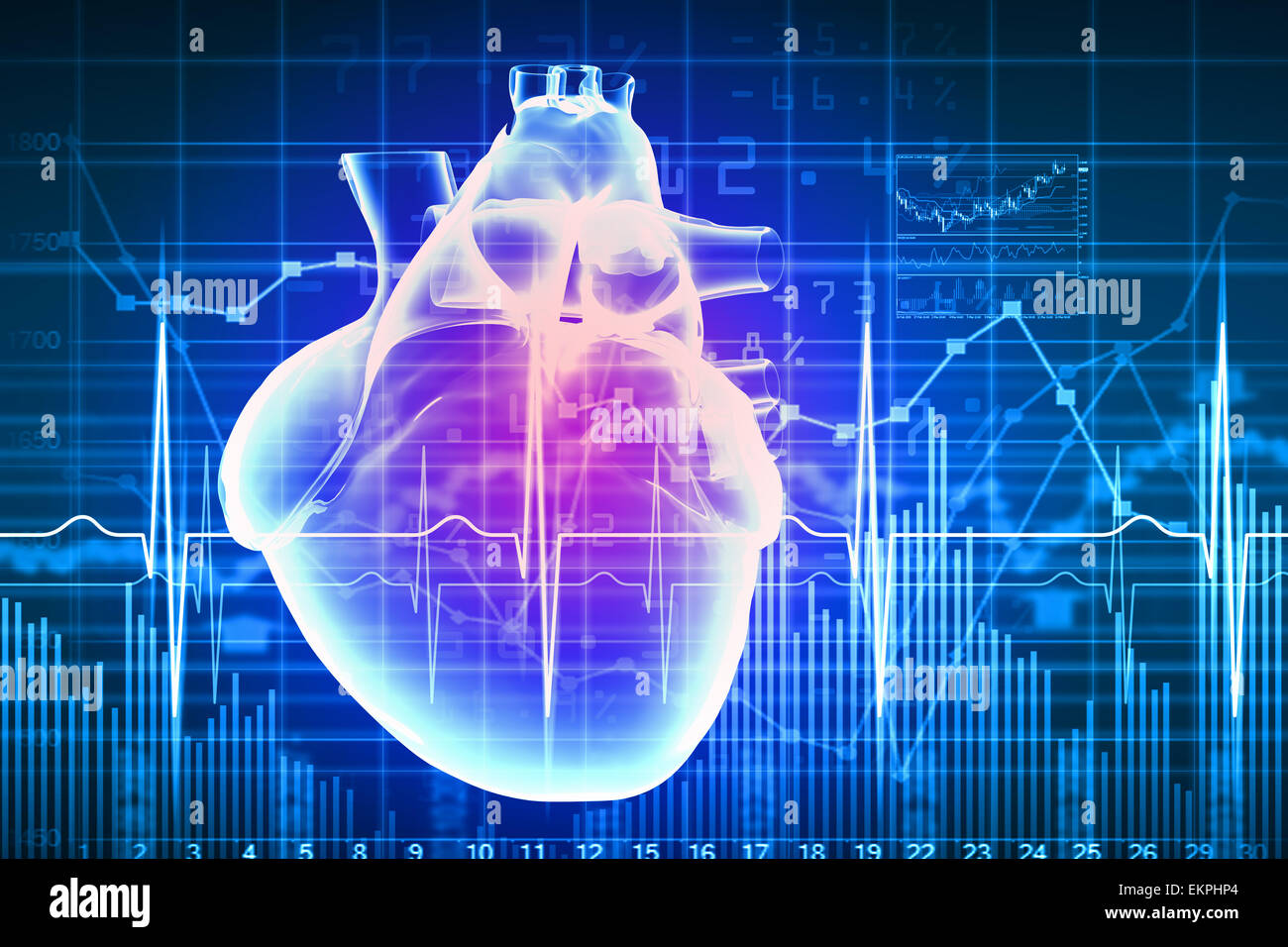 Human heart beats Stock Photo - Alamy