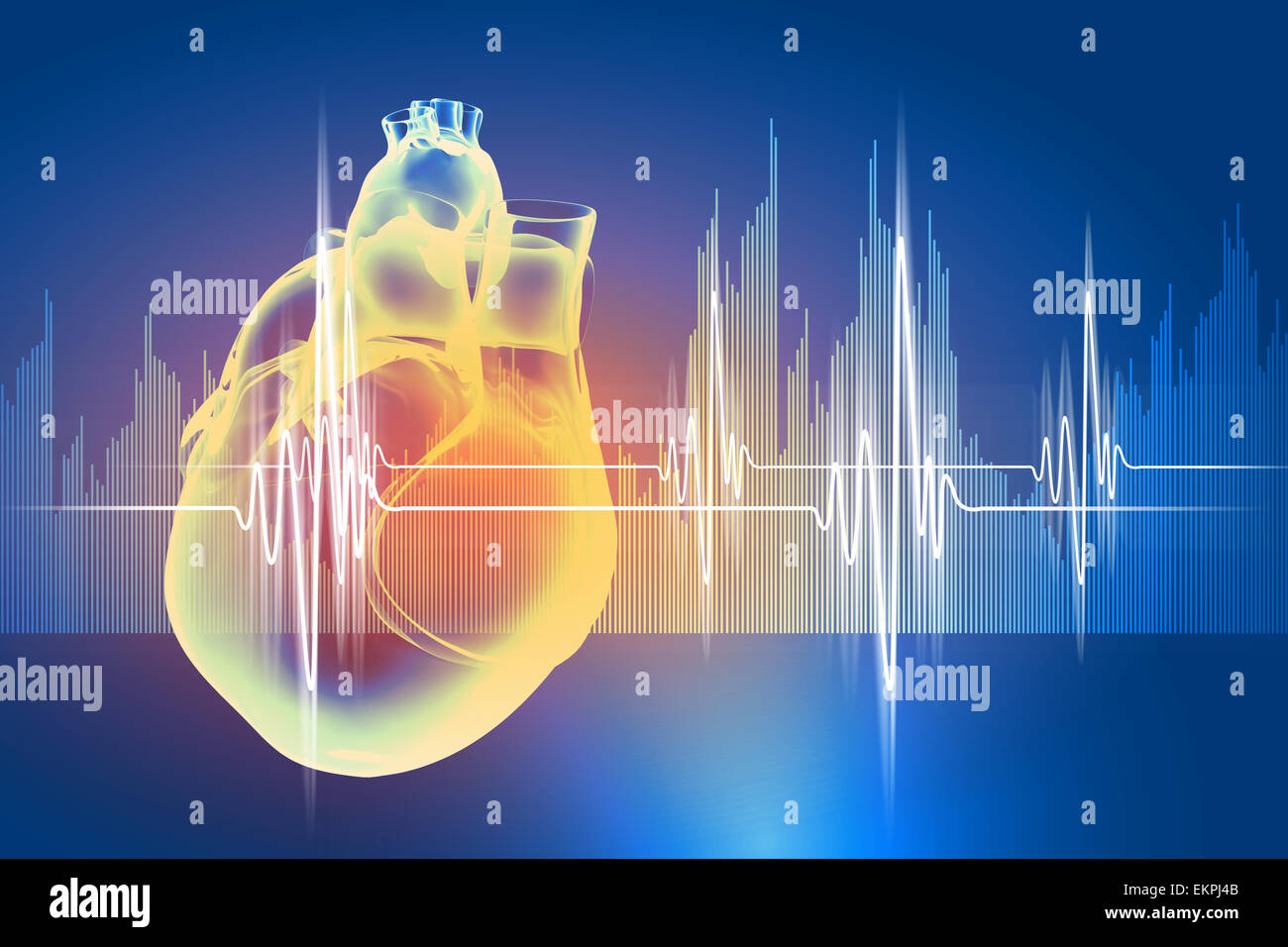 Human heart beats Stock Photo - Alamy