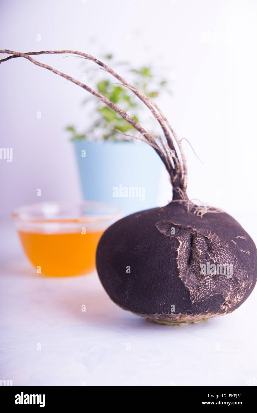 Black root crop hi-res stock photography and images - Alamy