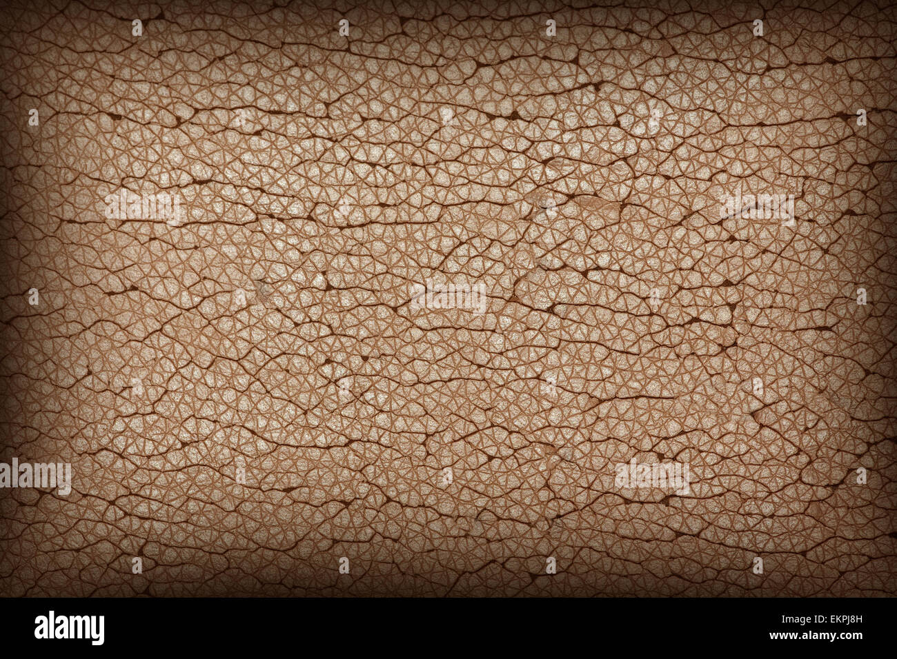 brown damaged synthetic leather texture Stock Photo - Alamy