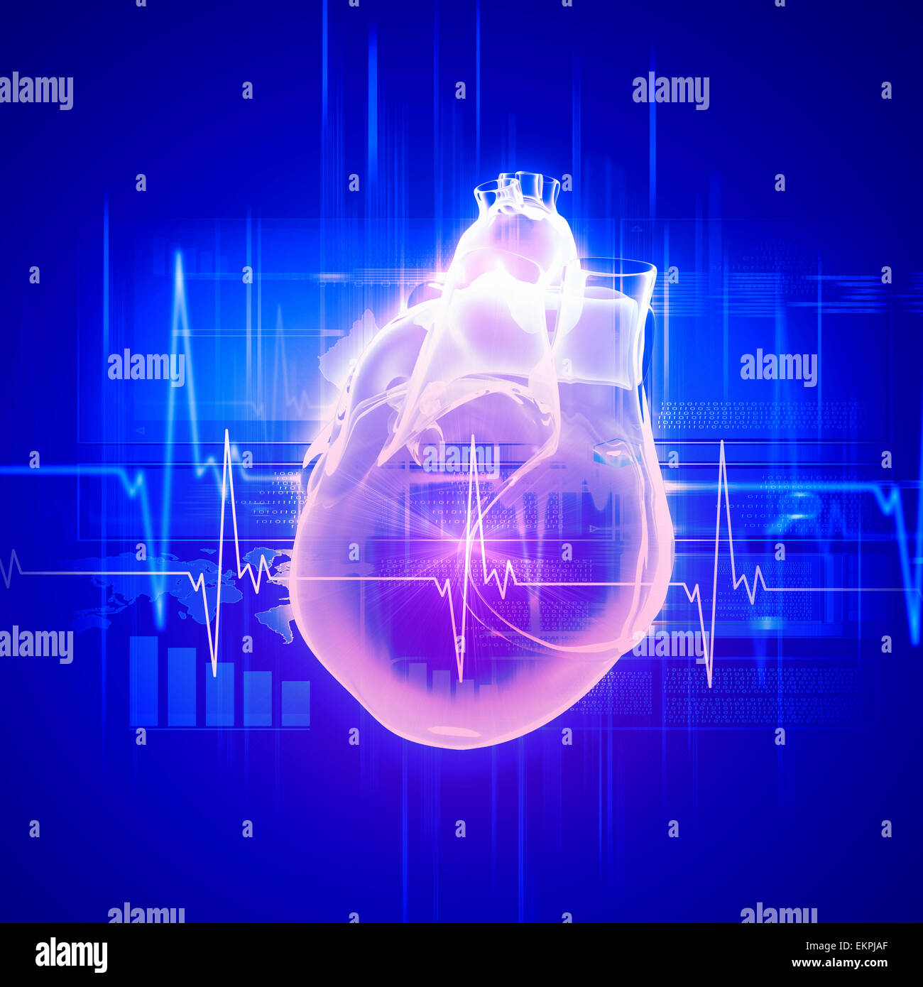 Human heart beats Stock Photo - Alamy