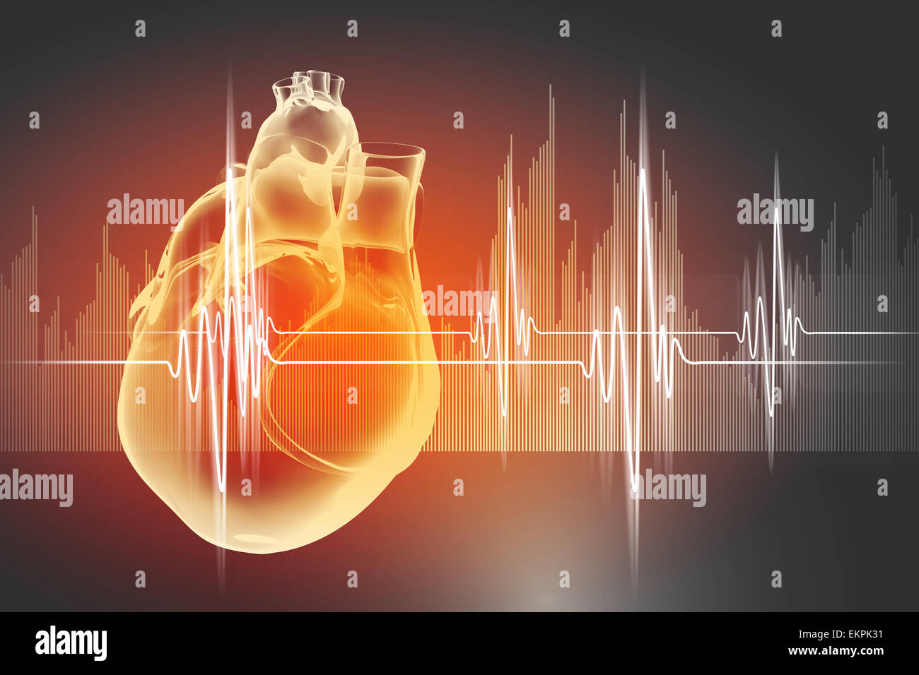 Human heart beats Stock Photo - Alamy