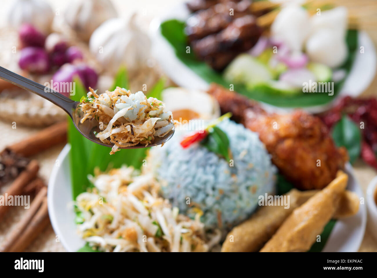 Malaysia malay food rice dish asia hi-res stock photography and images ...