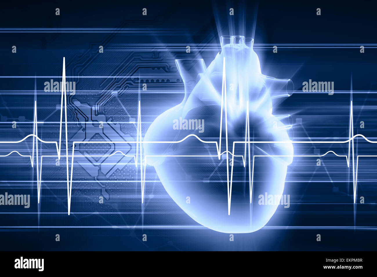 Human heart beats Stock Photo - Alamy