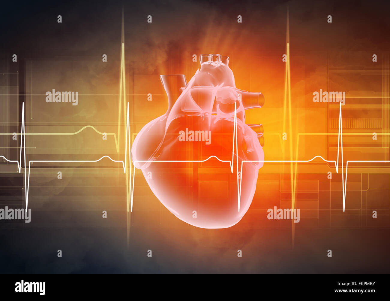 Human heart beats Stock Photo - Alamy